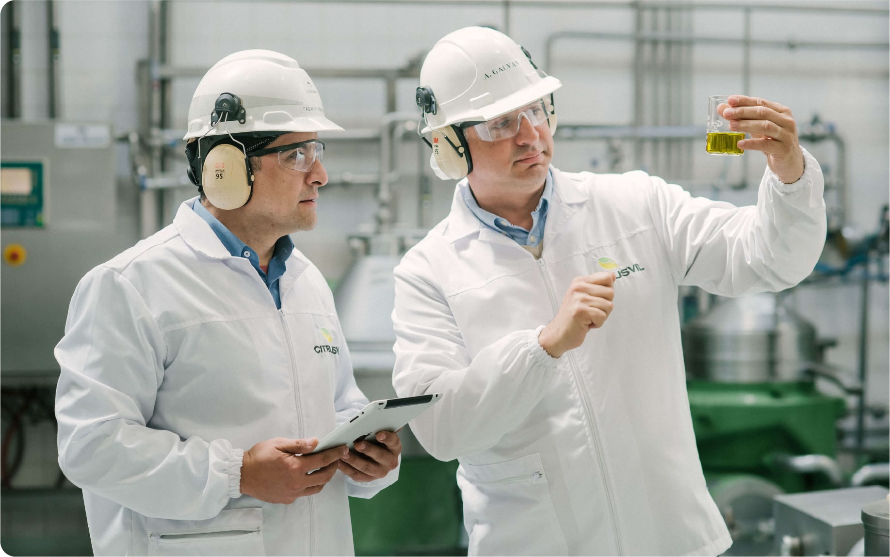 Citrusvil | Industria