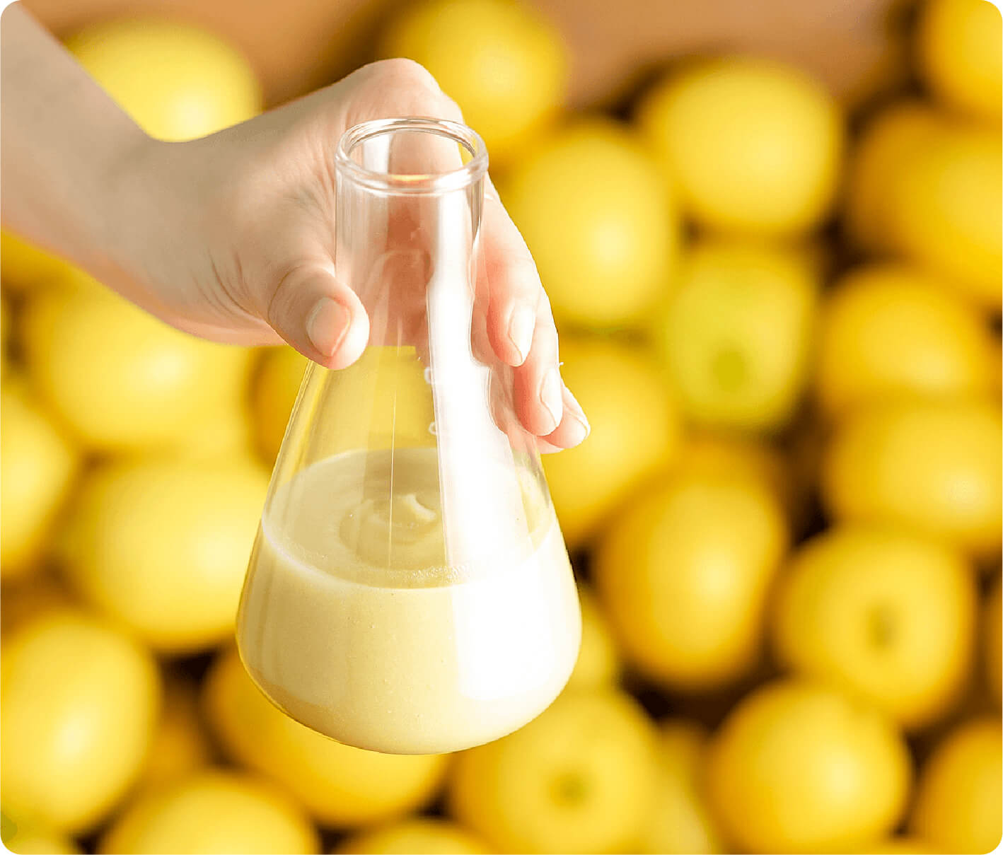 Citrusvil | Productos